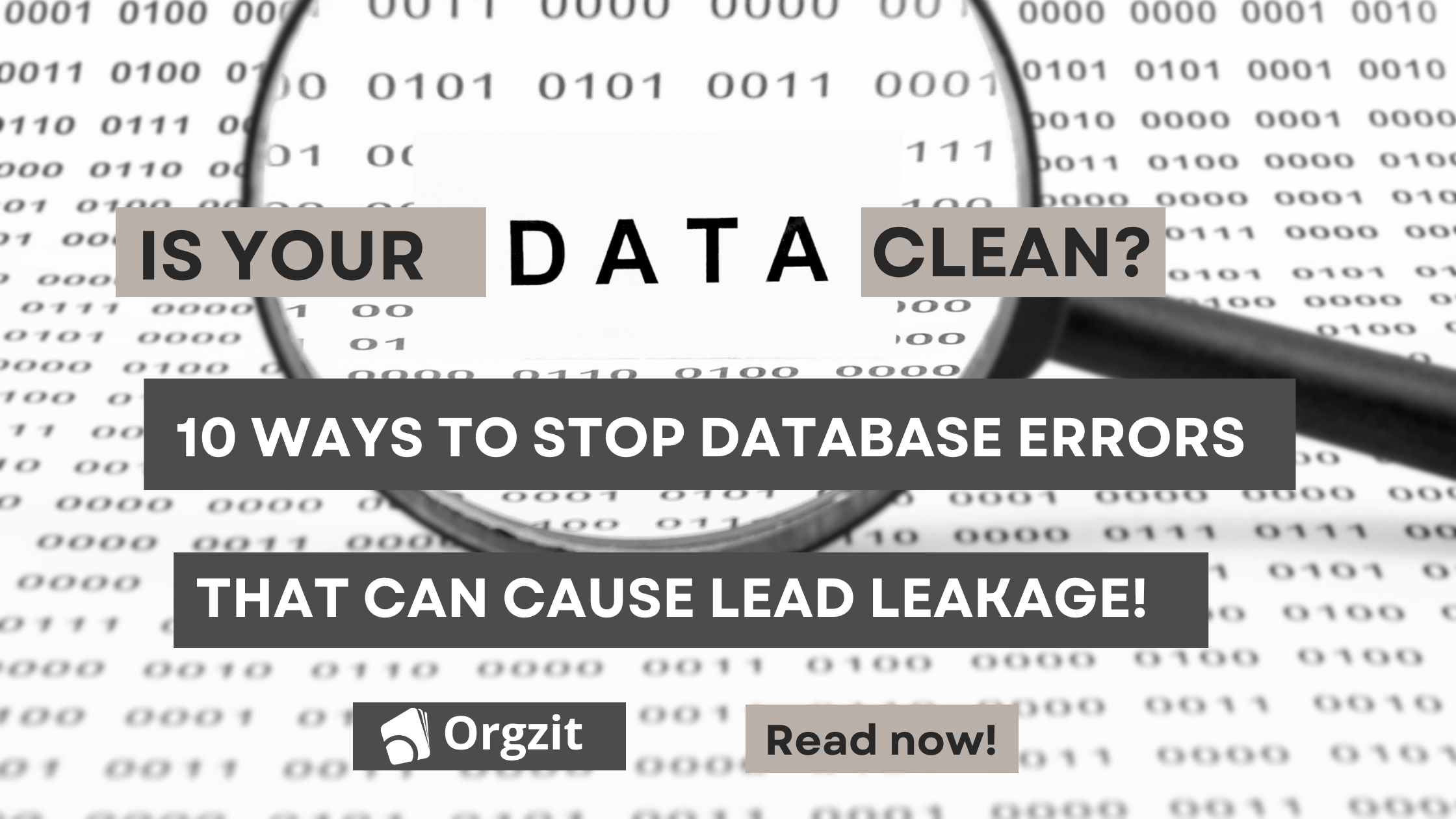 Is Your Data Clean? 10 Ways to Stop Database Errors That Cause Lead Leakage! | Orgzit Blog
